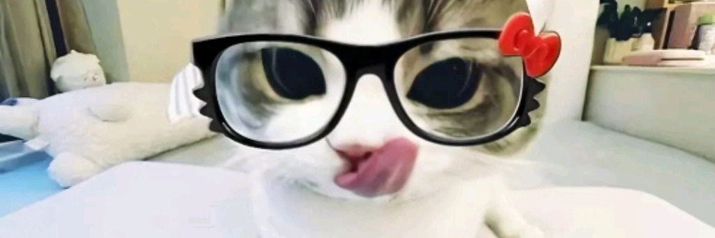 Соня Лучшая