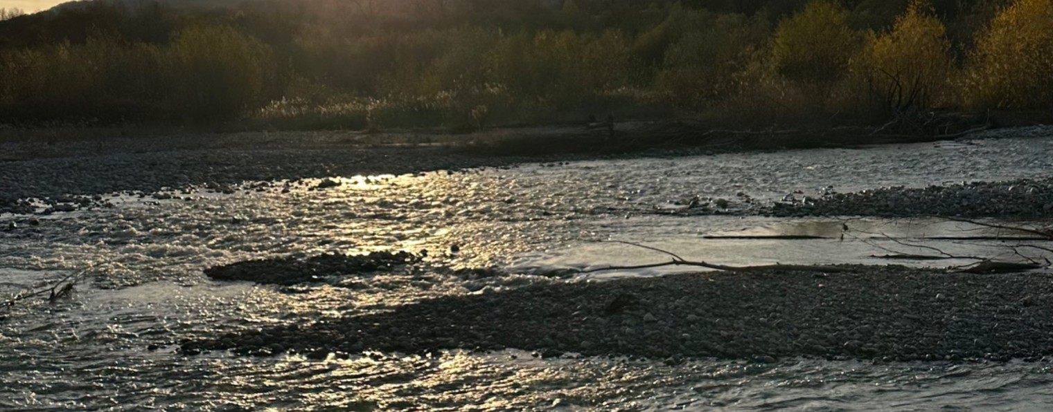 Ольга Грего