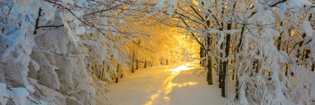 Ксеша❤️🌌