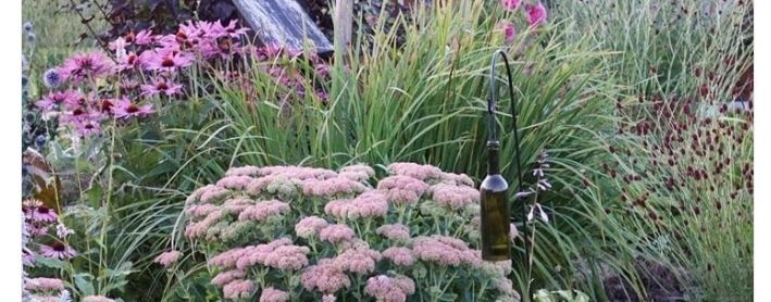 Мои цветочные дворики