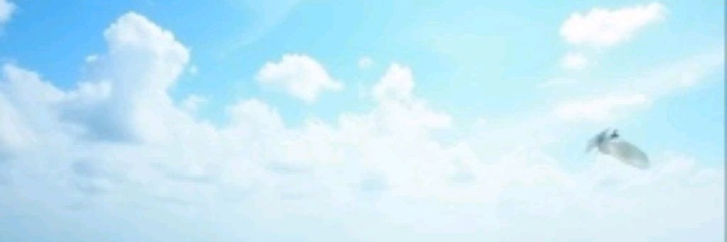 ОТ ЗЕМЛИ ДО НЕБА