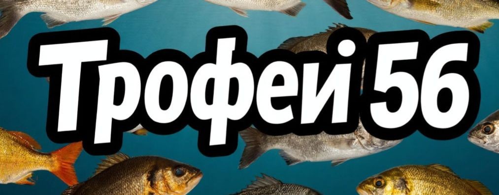 ТРОФЕЙ 56