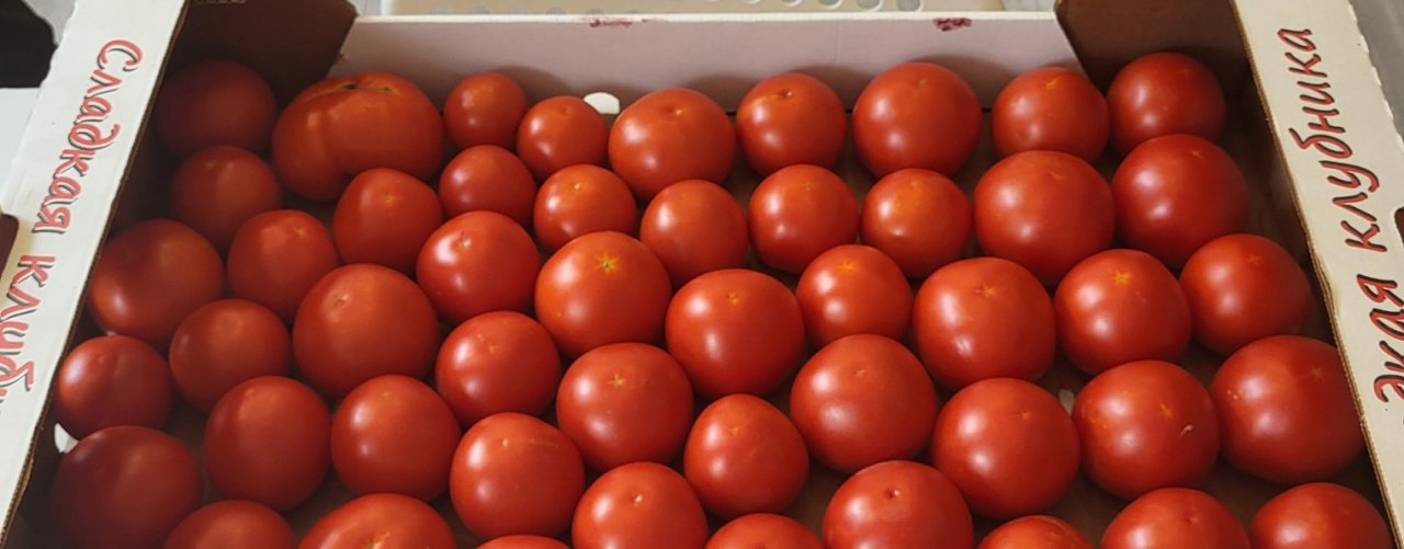 Зуйские будни