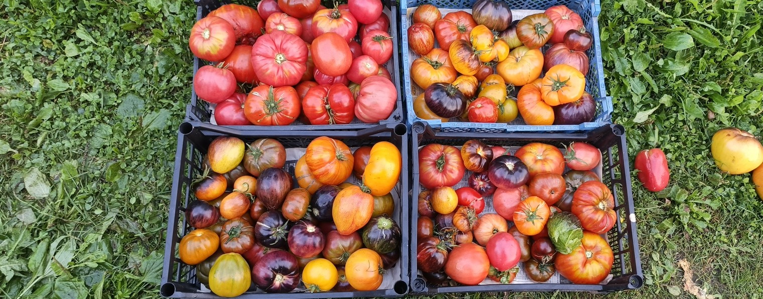 Растюшки у Ксюшки