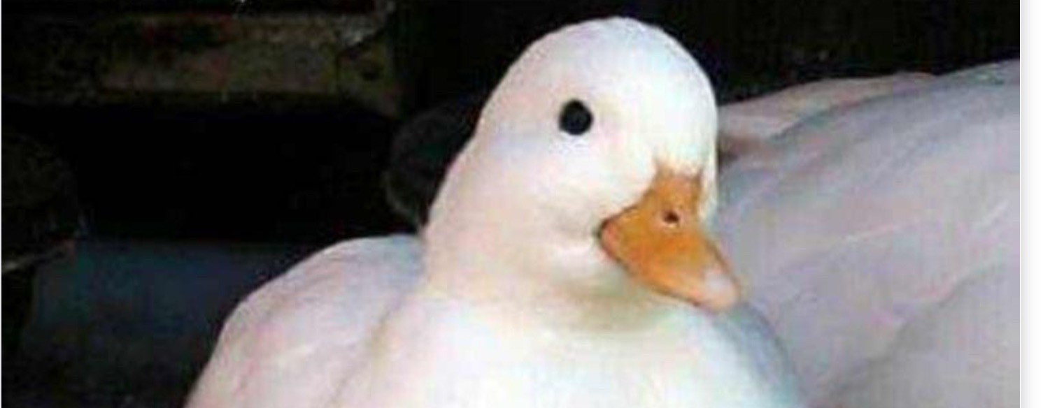 Крутые игры