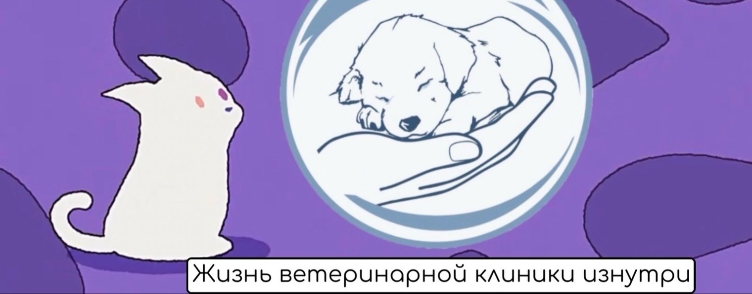 Ветеринарный сериал доктора Студниковой