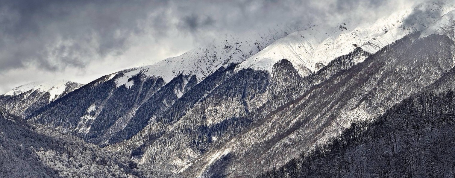 Голиков Гордей