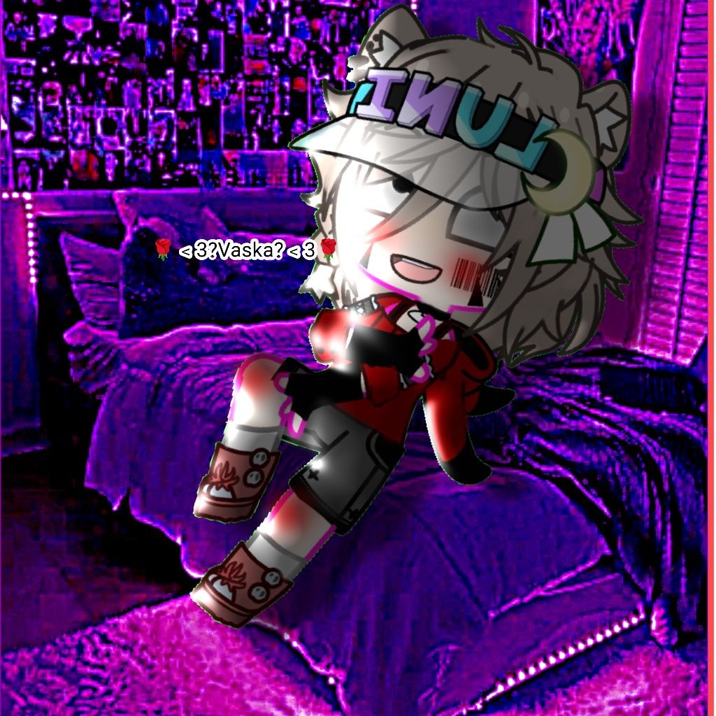 🌹﹤3?Vaska?﹤3🌹