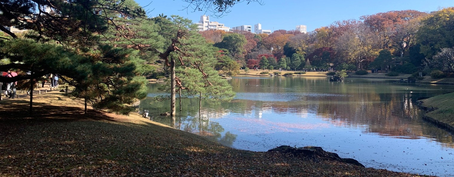 Здорово жуёшь