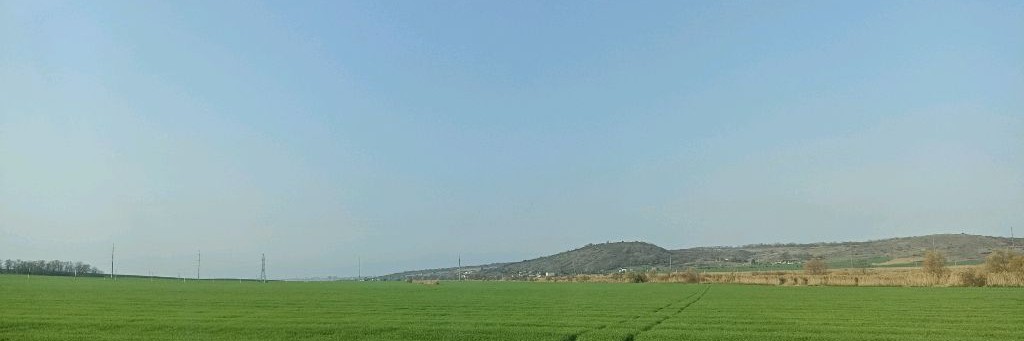 Станичная жизнь