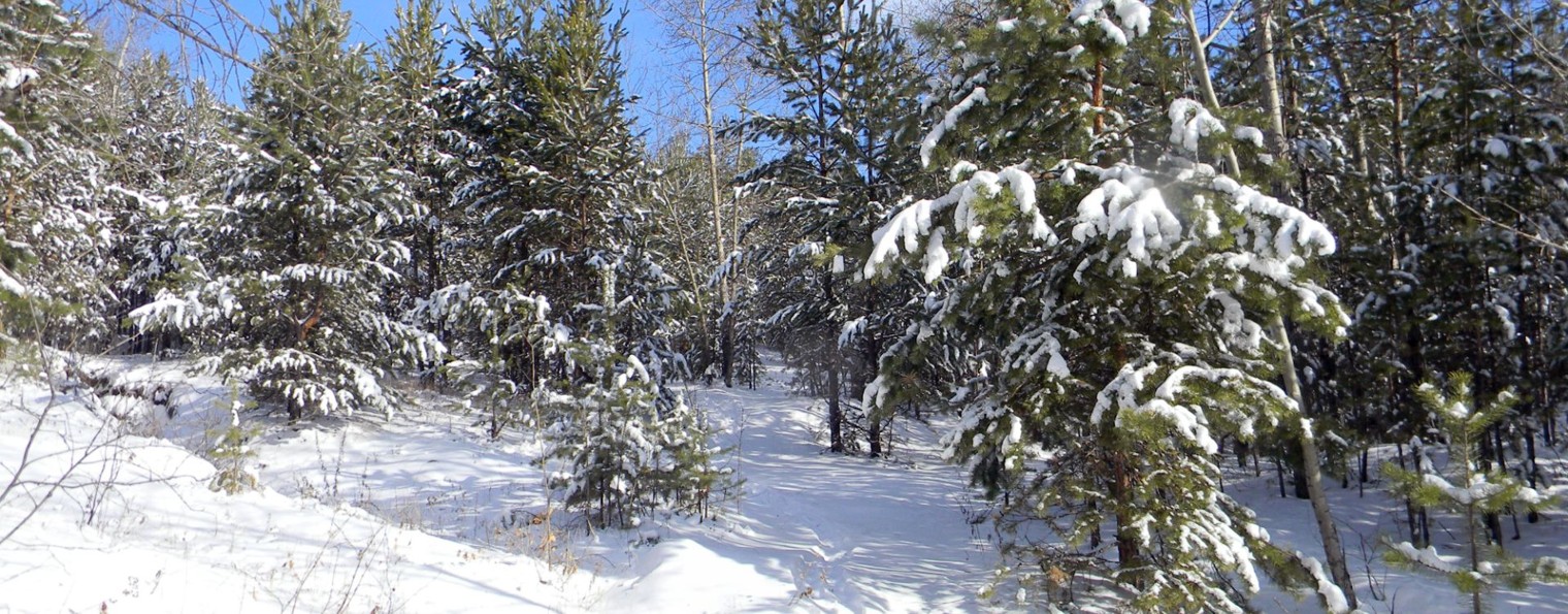 Мой калейдоскоп...