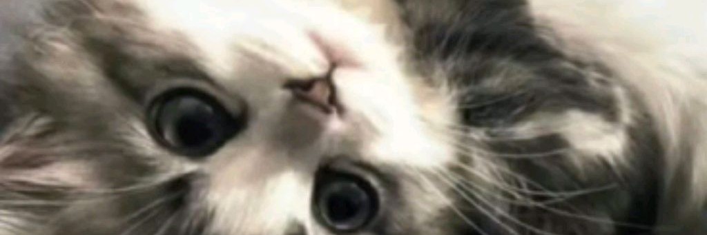 ✪ксюня❤️🩹