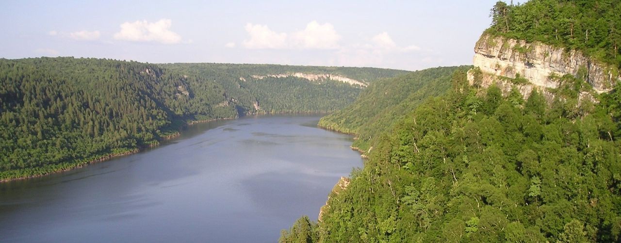 Александр Веселов. ЭКОБЕСОГОН