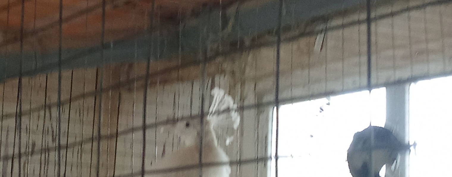 Крутой Макар йоу йоу йоу Курган и Челябинск