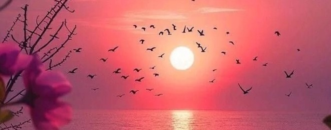 Жизнь Котеек И Другое.