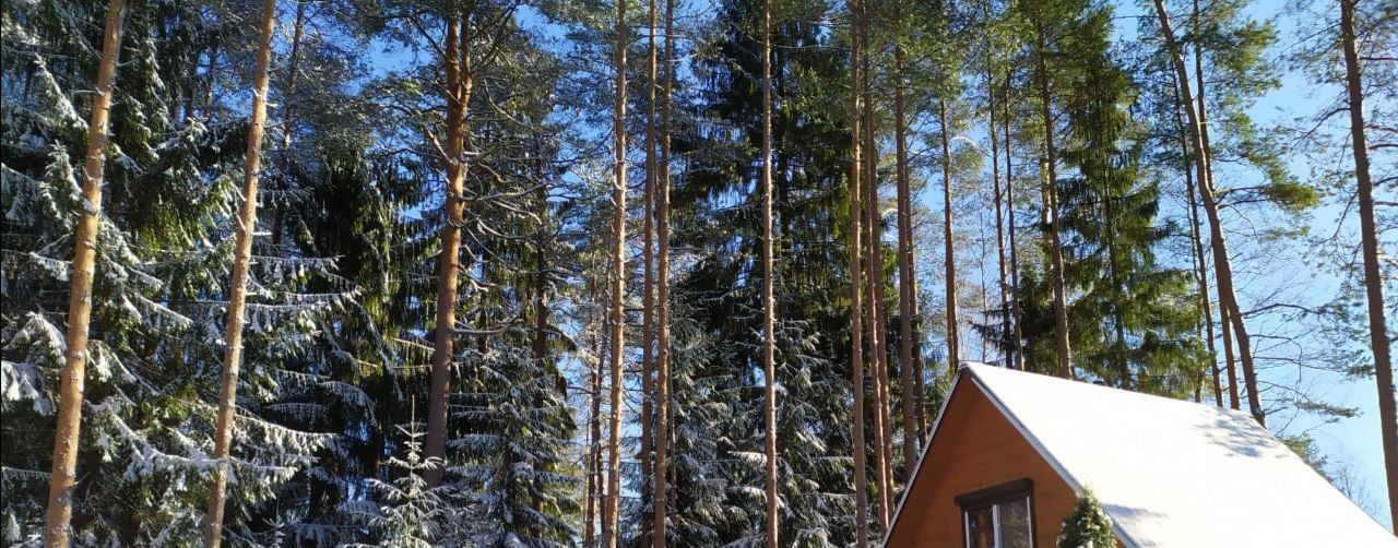 ЖИЗНЬ БЕЗ ПРИКРАС 💃