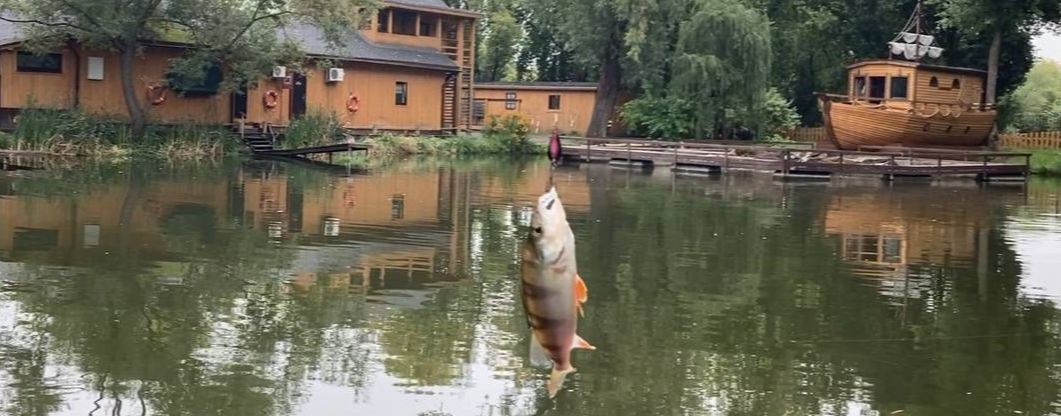 Форель и окунь