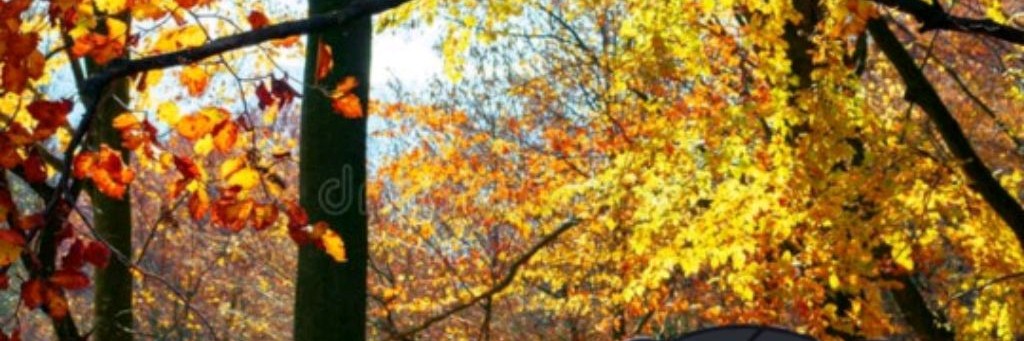 .🐇Соля🐇⁠⑅.