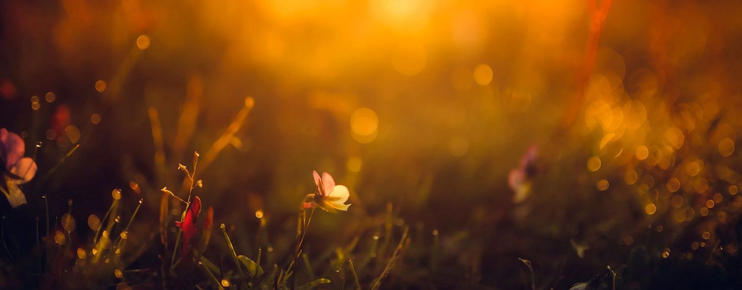 Инна Габбасова