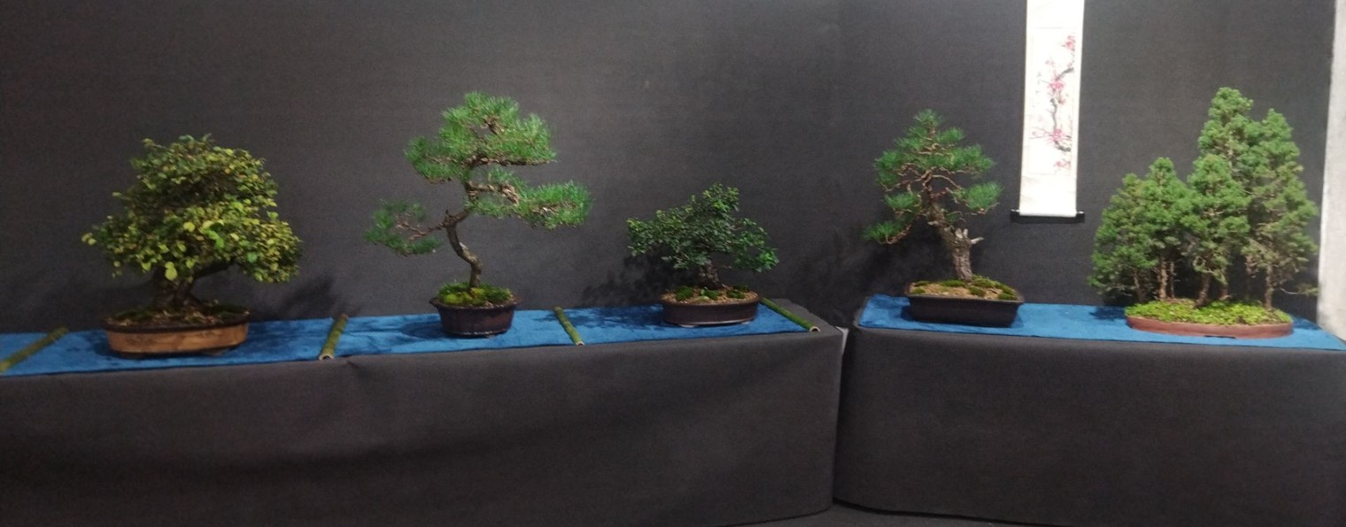 Очумелый садовод