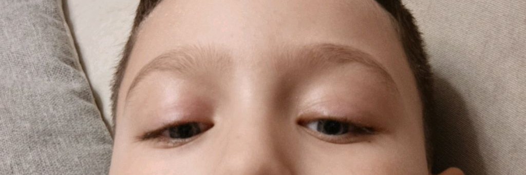 Лев  Точка 555753466