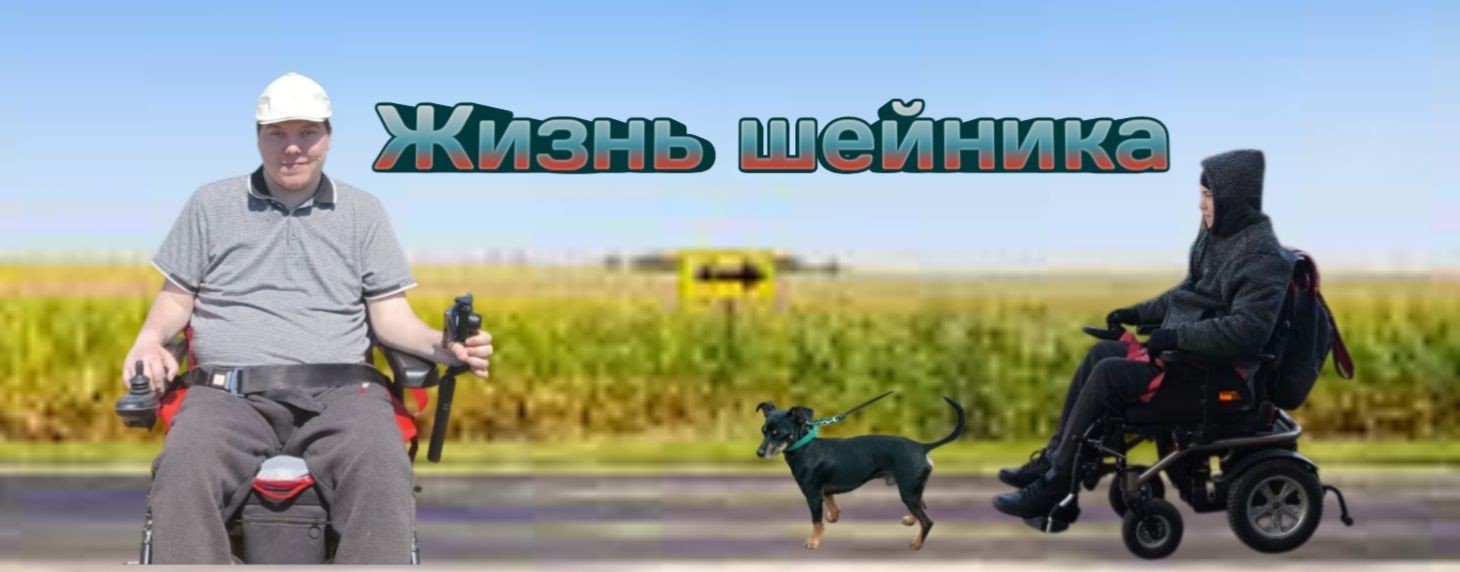 Жизнь шейника