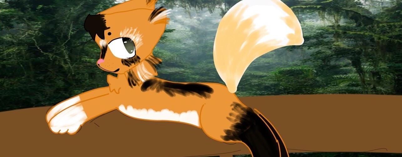 ╺⃝⃤ Фипа_квд ╺⃝⃤