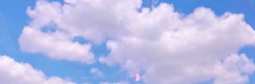 Цветок Уже В Твоих Руках