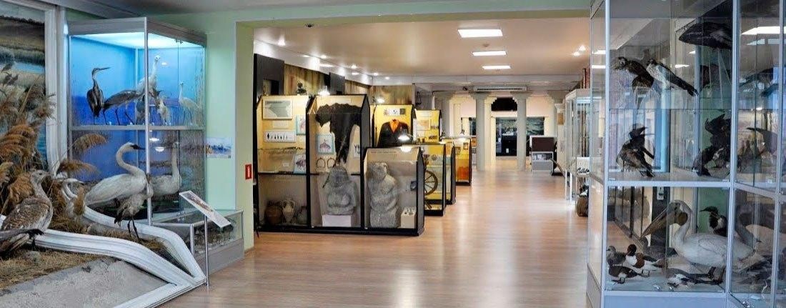 Ейский историко-краеведческий музей