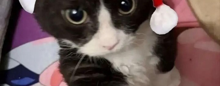 🍾 Артём 💀