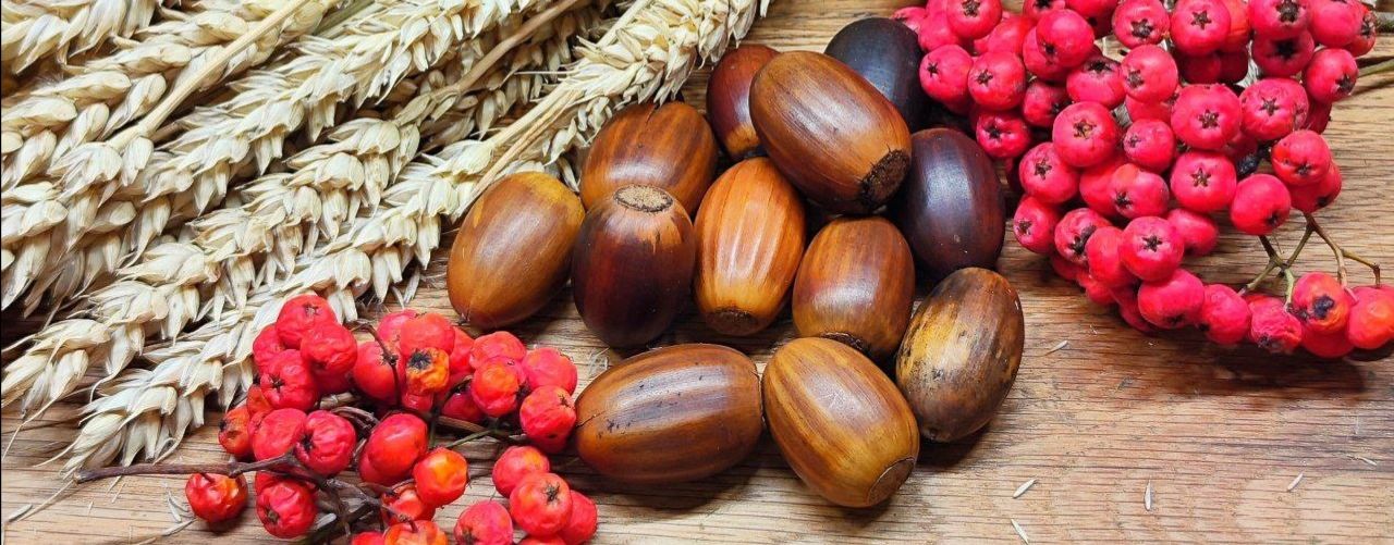 Лавка Славянских Оберегов Верба