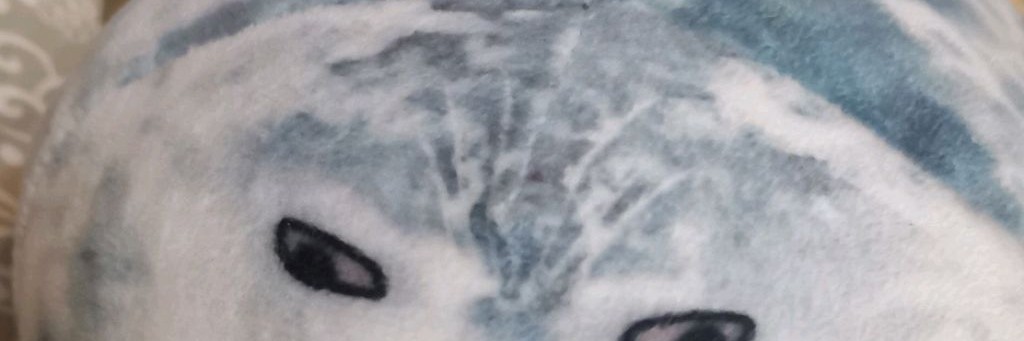 Тюлень Екут и Настя