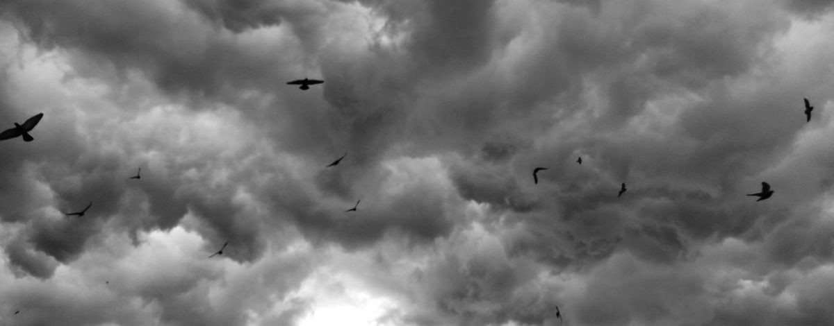 ПЕРЕЗАЛИВЫЧ