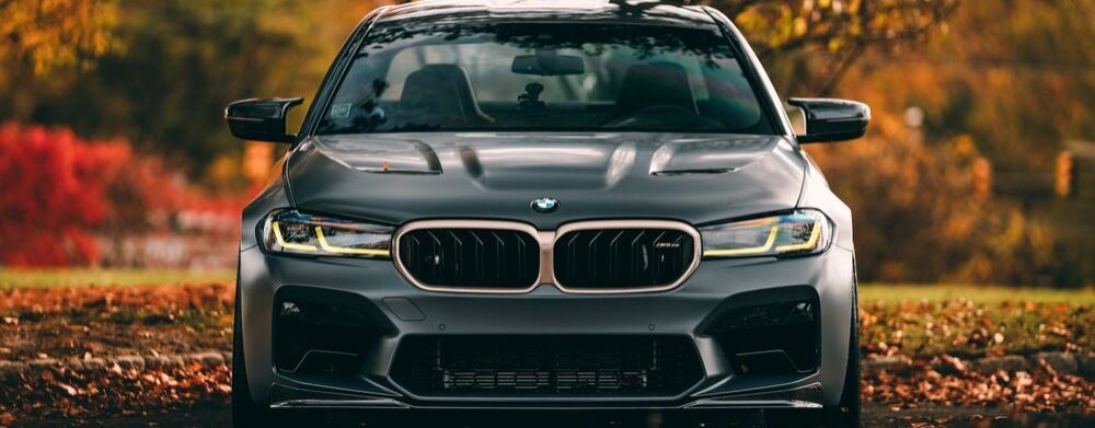 мистер мотик