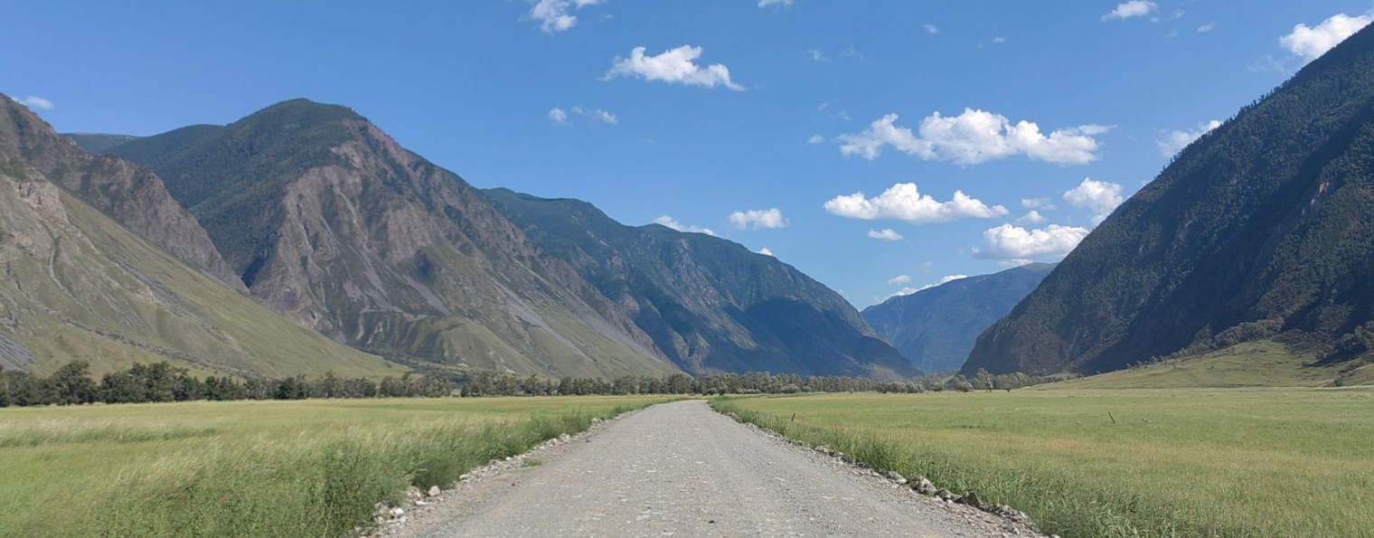 aleksander velonature