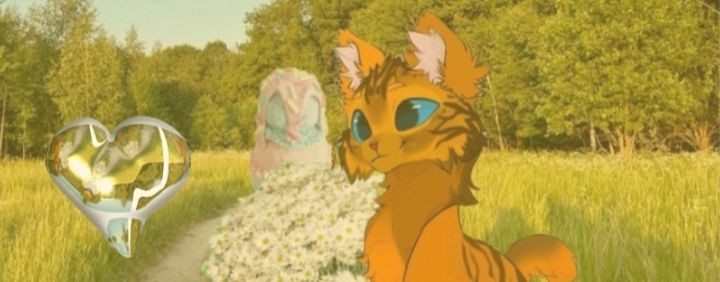 🌯Сервалка🐾