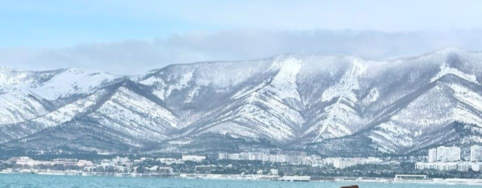 Элизабет Полли