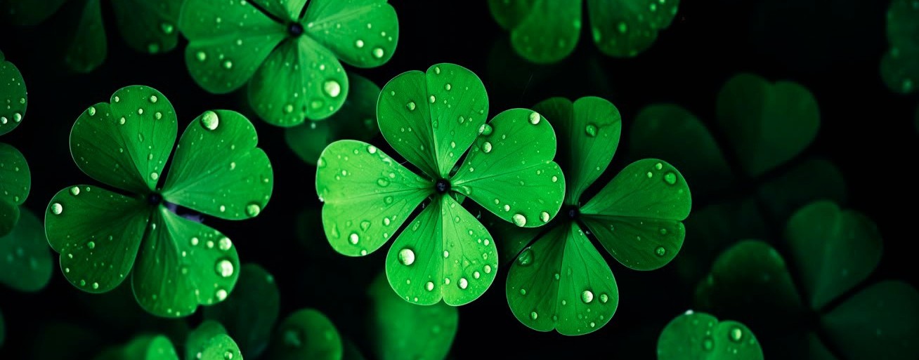 Elena Nahalovna 🍀