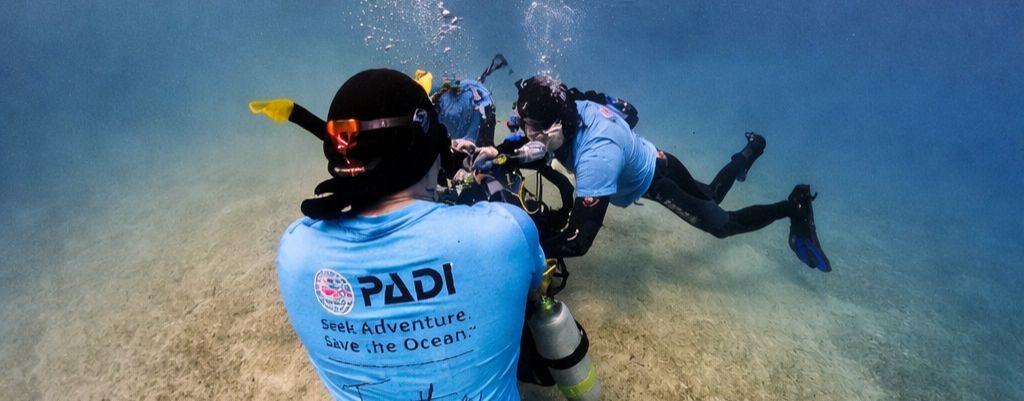 Альфа-центр, дайвинг клуб