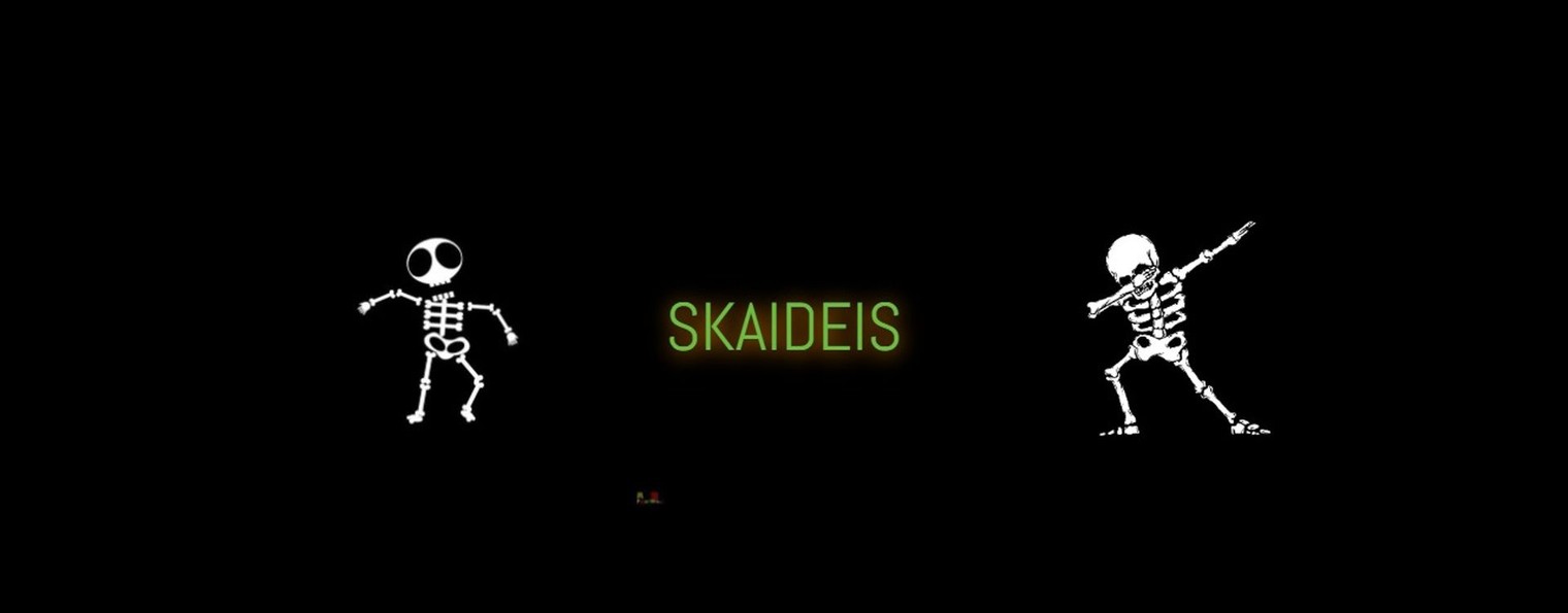 SKAIDEIS