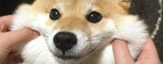 КРИСТИНА ГОУ