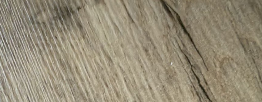 Брутальный Пёс