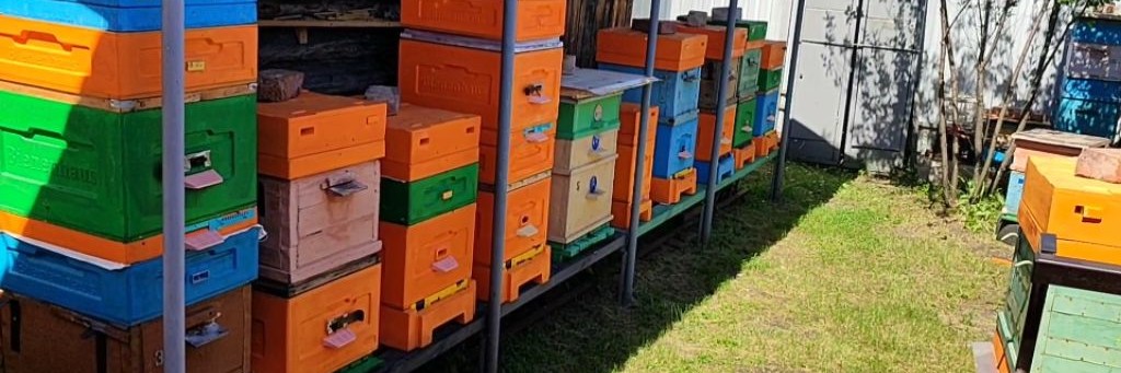 Небольшая пасека на садовом участке
