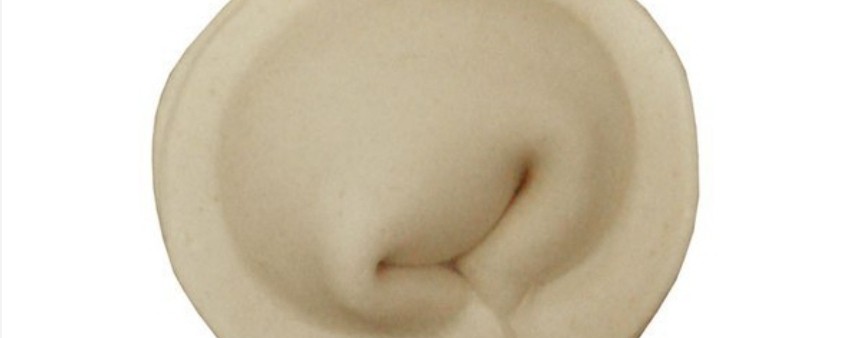 мишка фрэдэ