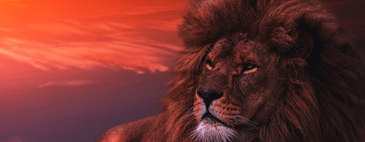 Сергей Владимирович