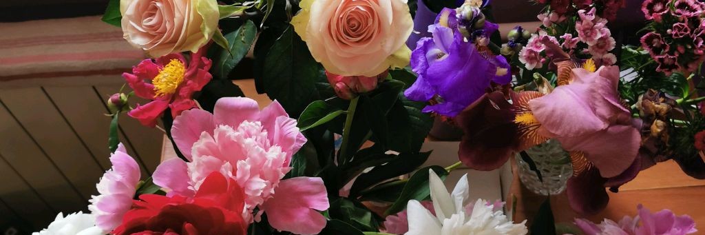 🌺Просто СинТа🌺Про Цветочки🌺