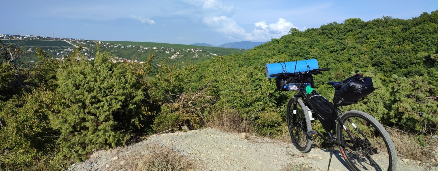 Дмитрий Морковкин