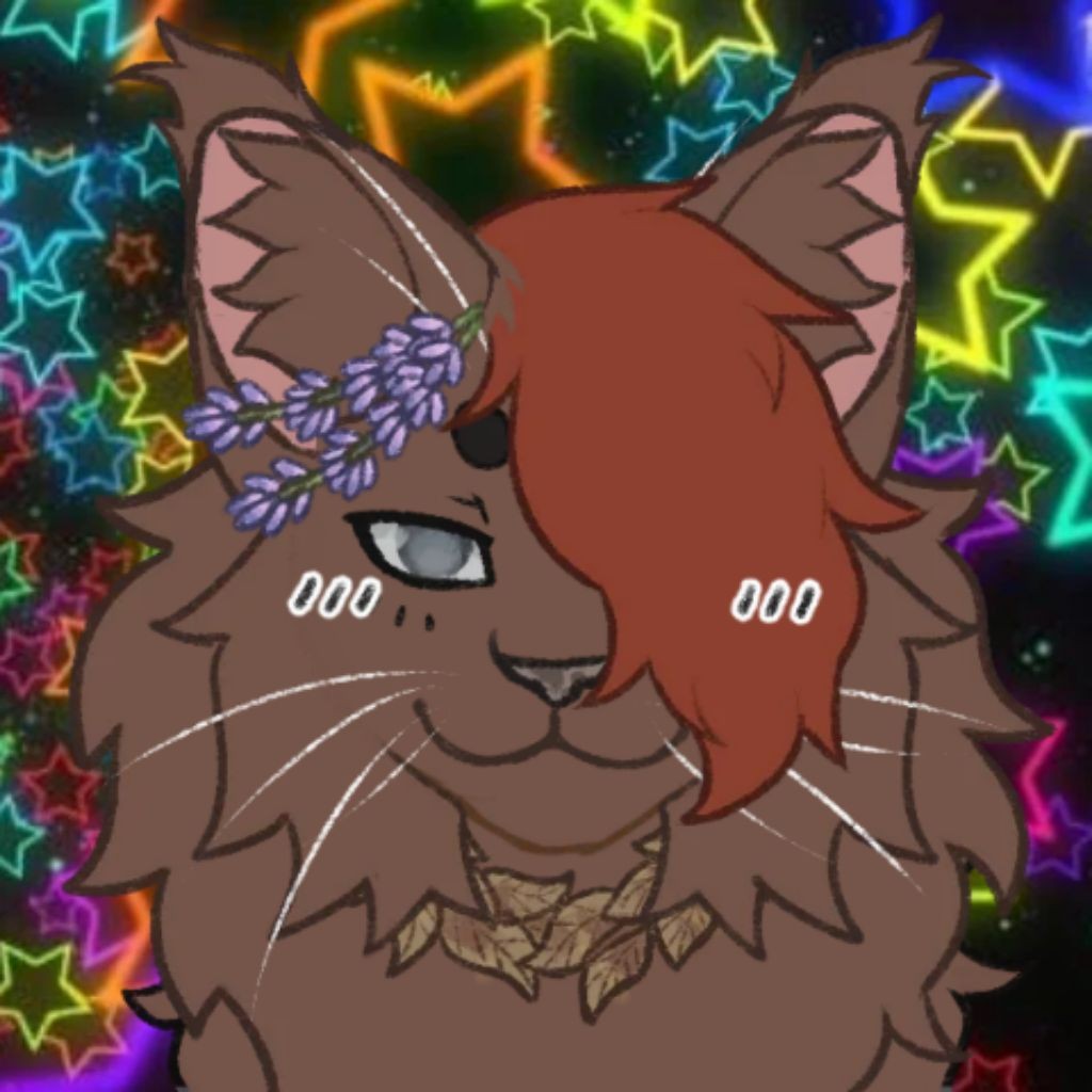 🖤🌹\_ Мрачная Роза Кв_🌹🖤