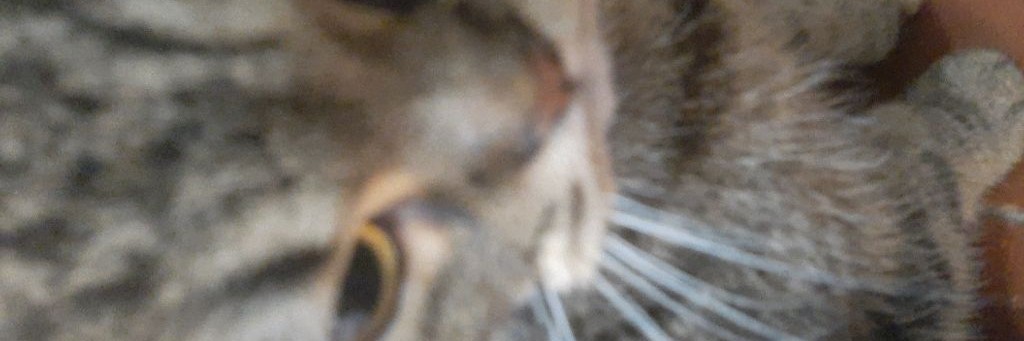 ♤Пиковый Валет♤