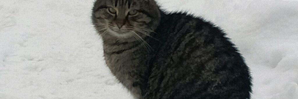 Делаем Дз)))